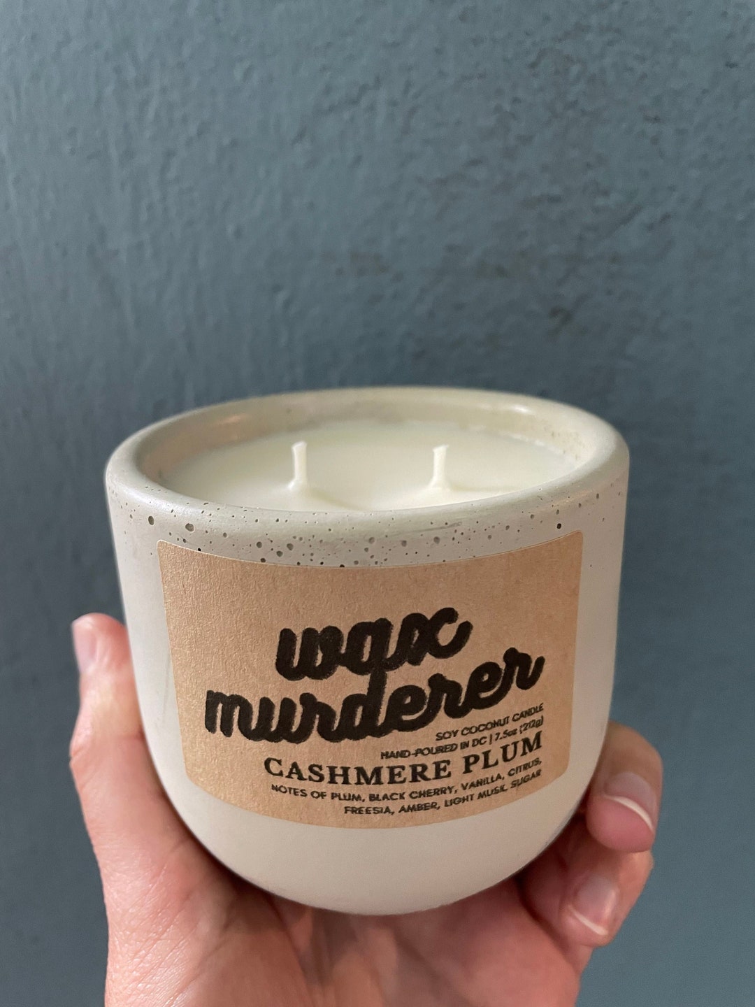 WAX MURDERER Hand Poured Concrete Double Wick Candle - 7.5oz Coconut ...