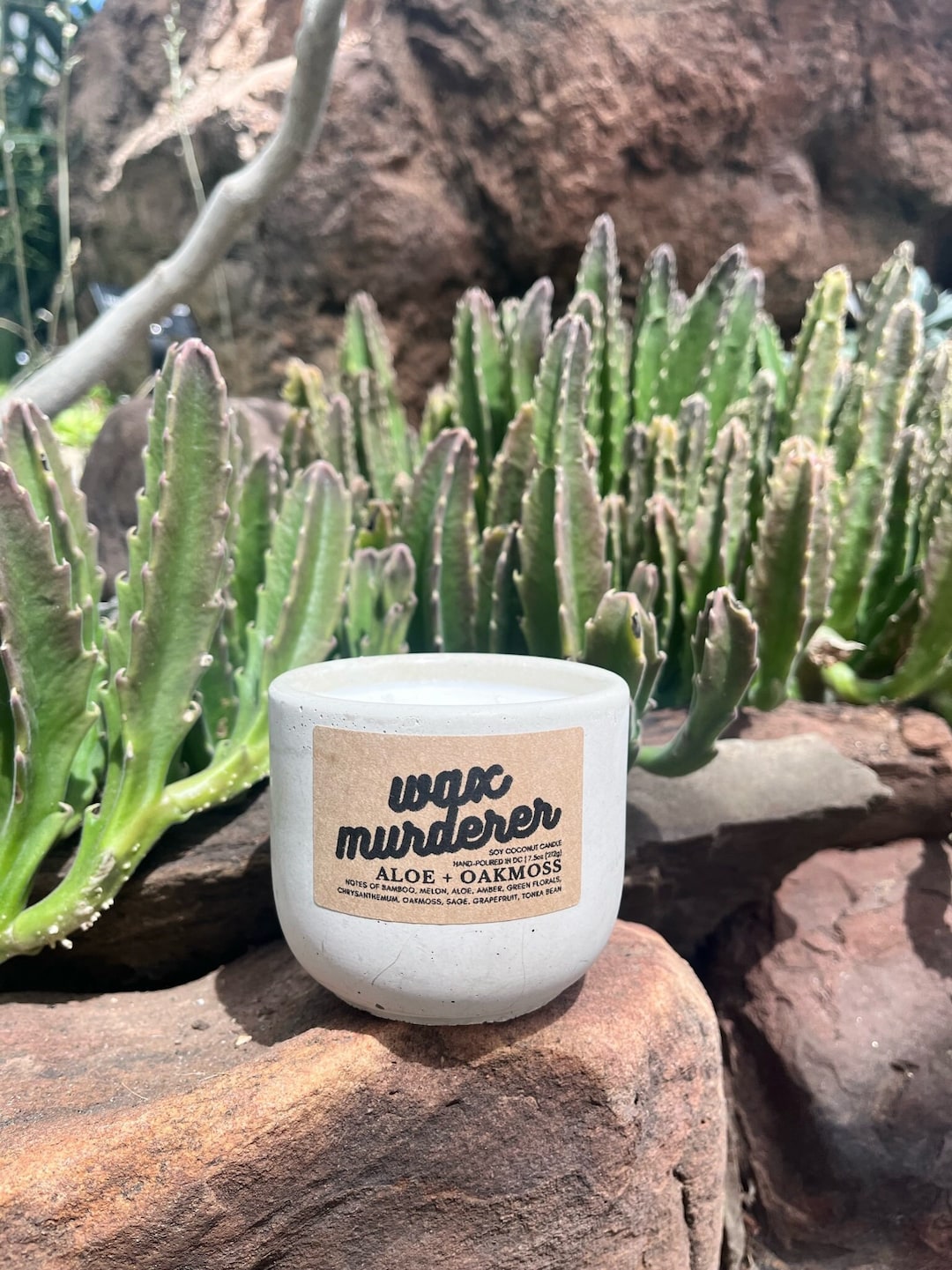 WAX MURDERER Hand Poured Concrete Double Wick Candle - 7.5oz Coconut ...
