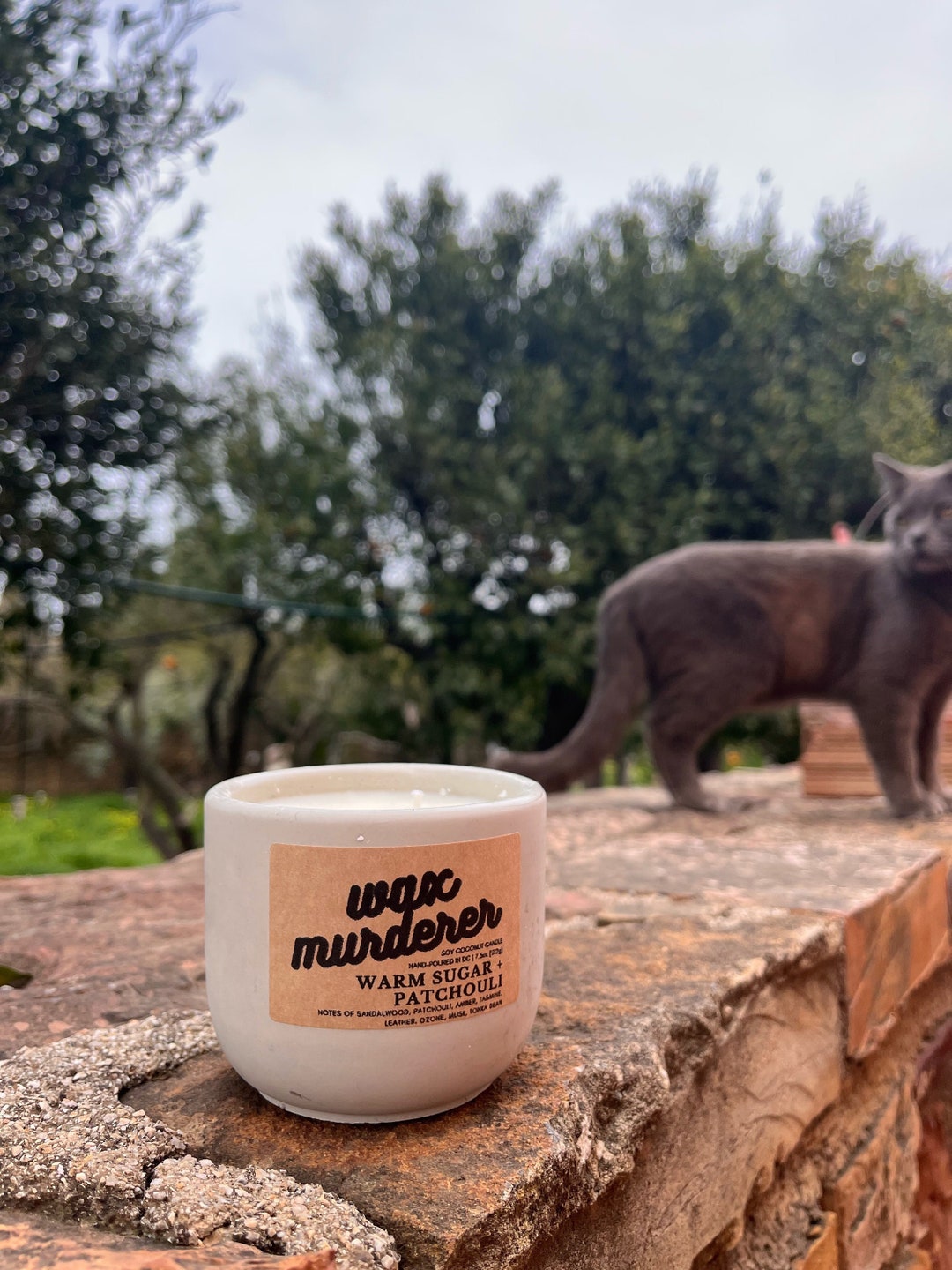 WAX MURDERER Hand Poured Concrete Double Wick Candle - 7.5oz Coconut ...
