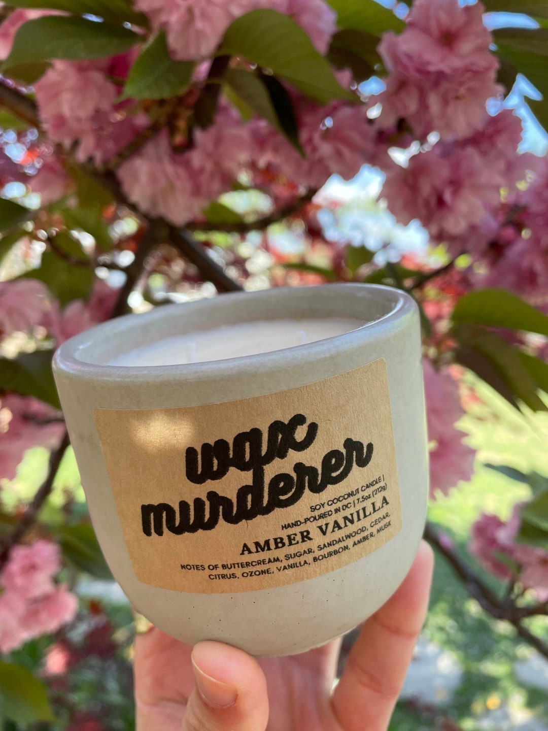 WAX MURDERER Hand Poured Concrete Double Wick Candle 7.5oz Coconut Soy ...