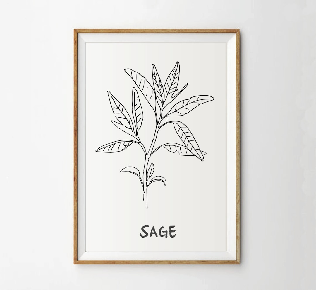 Sage Print Herb Prints Kitchen Print Botanical Print - Etsy