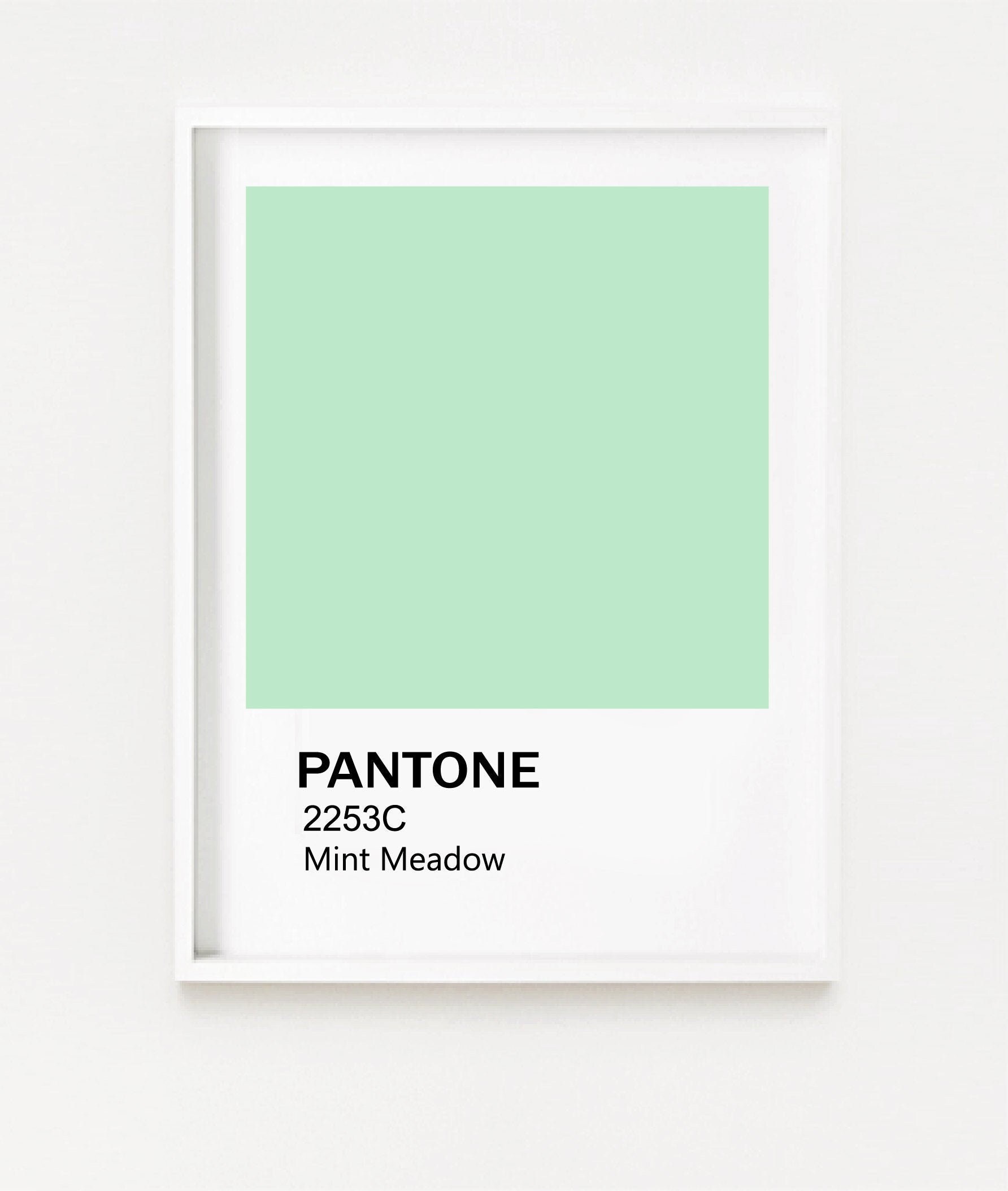 Mint Pantone print pantone poster mint meadow pantone wall | Etsy