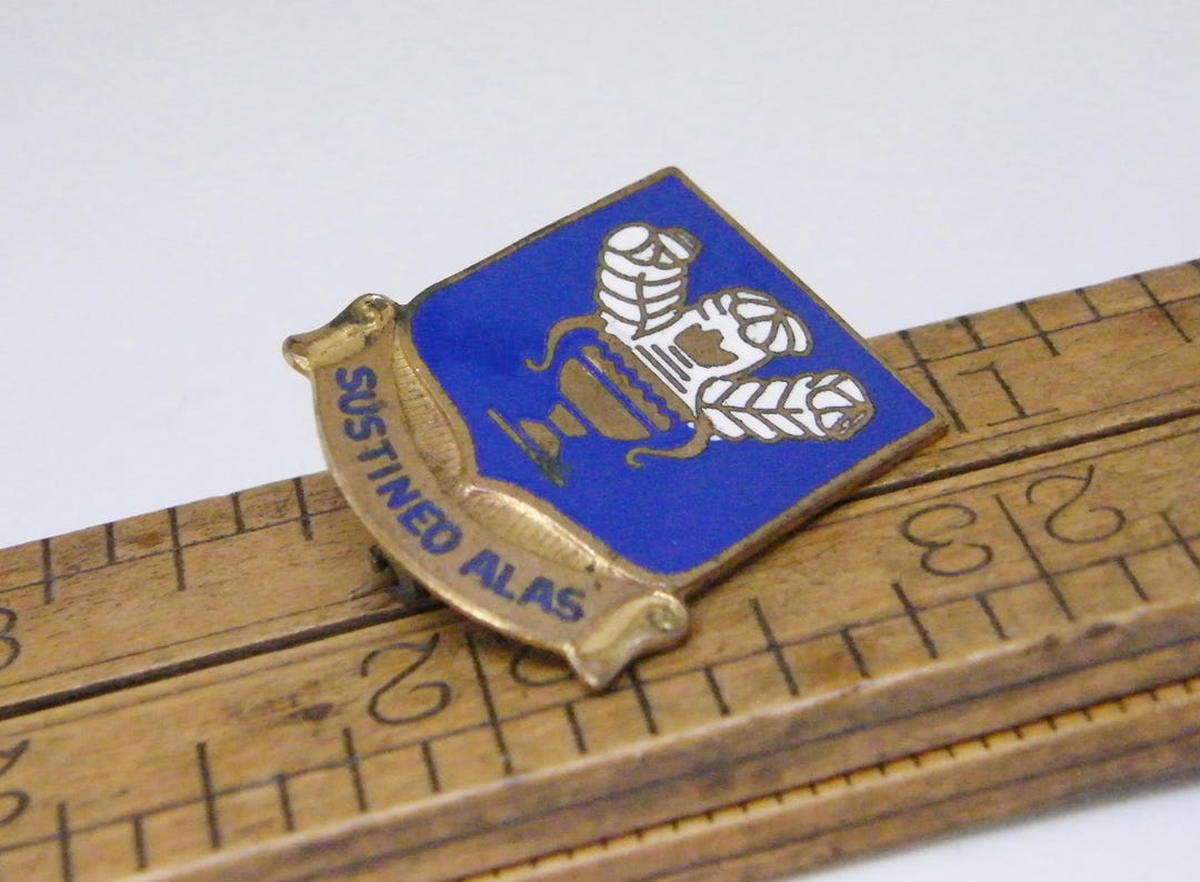 Vintage WWII Sustineo Alas World War II Army Air Force Sustain the ...
