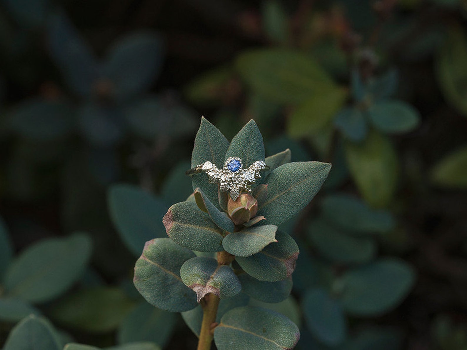 Winter Berry Ring - Etsy