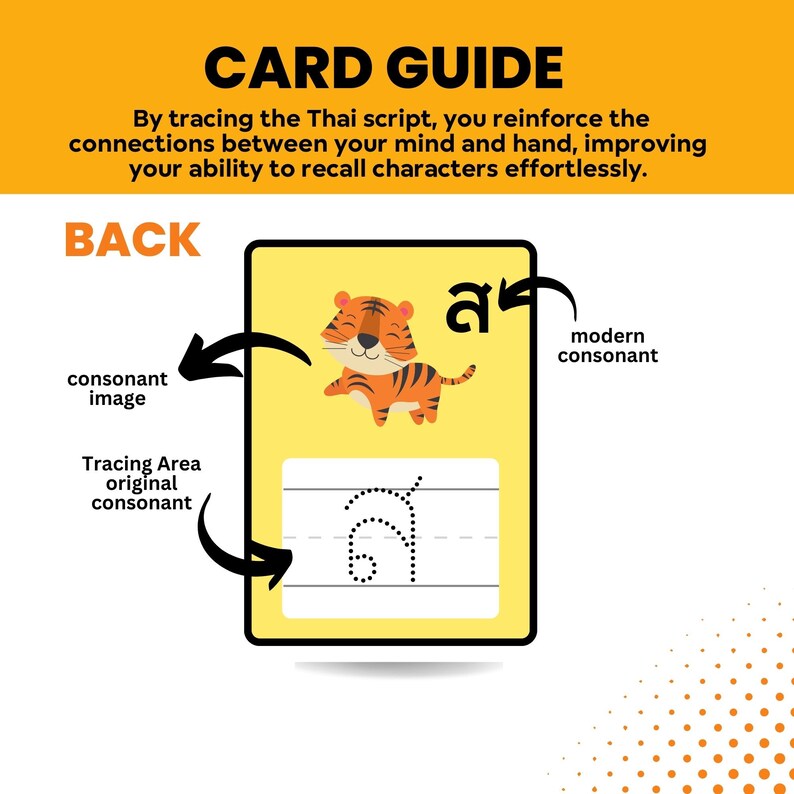 Dual Digital Thai Flashcards Consonants, Memorise Thai Script, Thailand ...