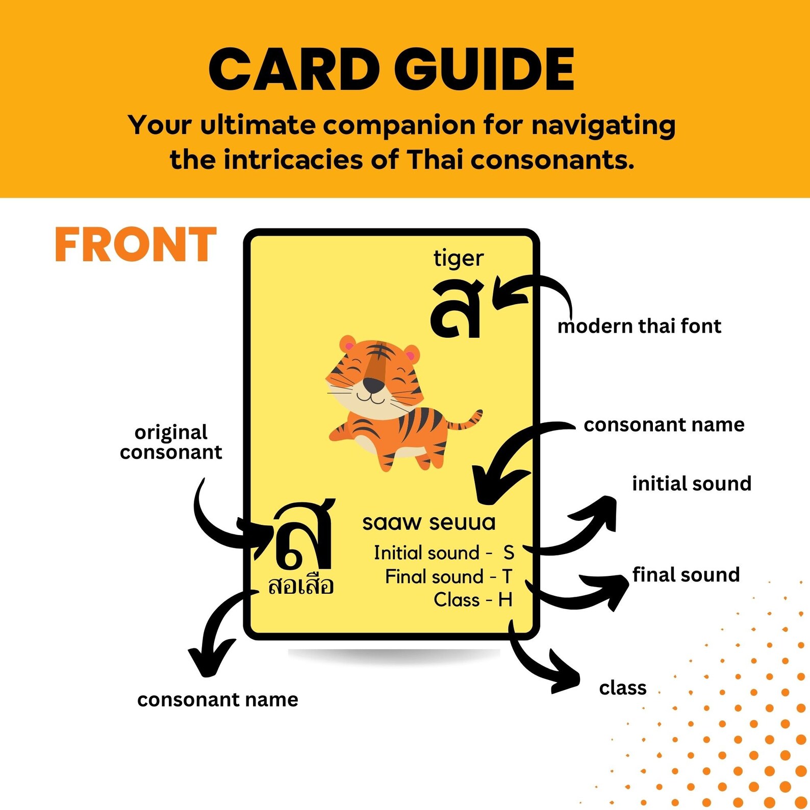 Dual Digital Thai Flashcards Consonants, Memorise Thai Script, Thailand ...