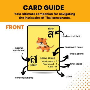 Dual Digital Thai Flashcards Consonants, Memorise Thai Script, Thailand ...