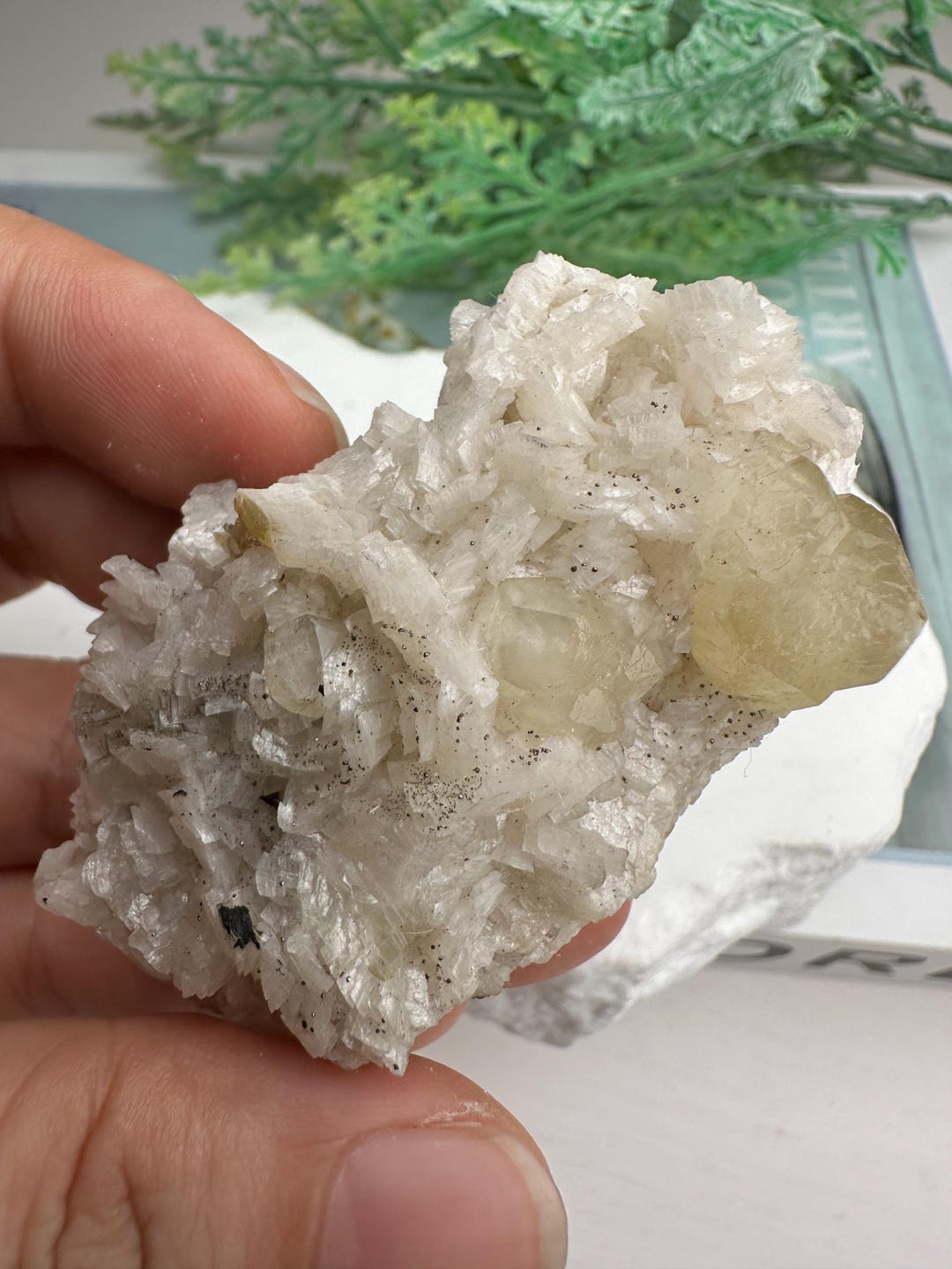 Natural Yellow Calcite on Dolomite Matrix From Sichuan China BAOF509 ...