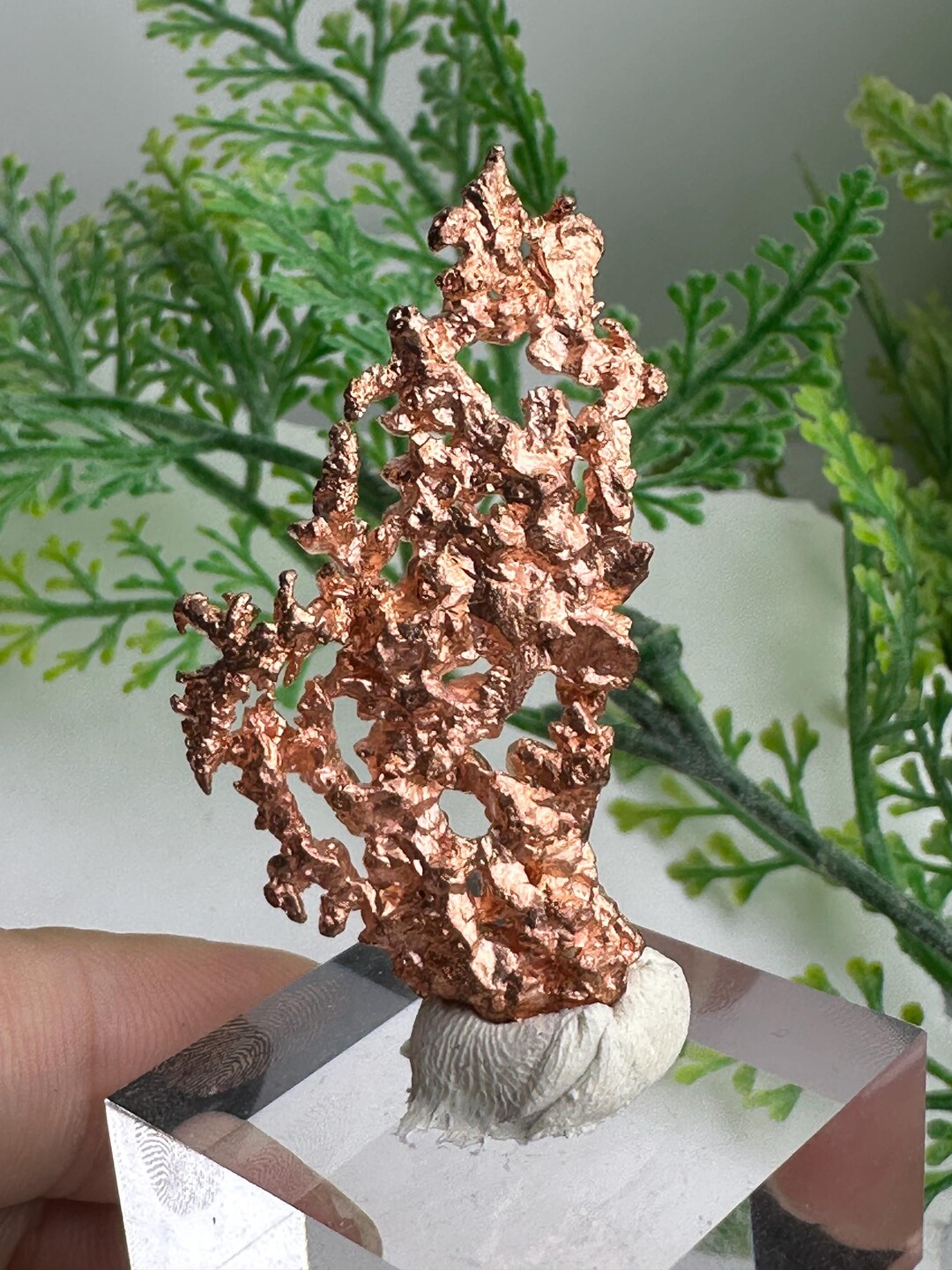 Raw Native Copper Mineral Specimen Branch-like Form With a Stand ...