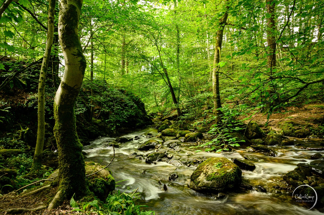 Woodland Stream Photographic Print, Lake District, England, Ready to ...