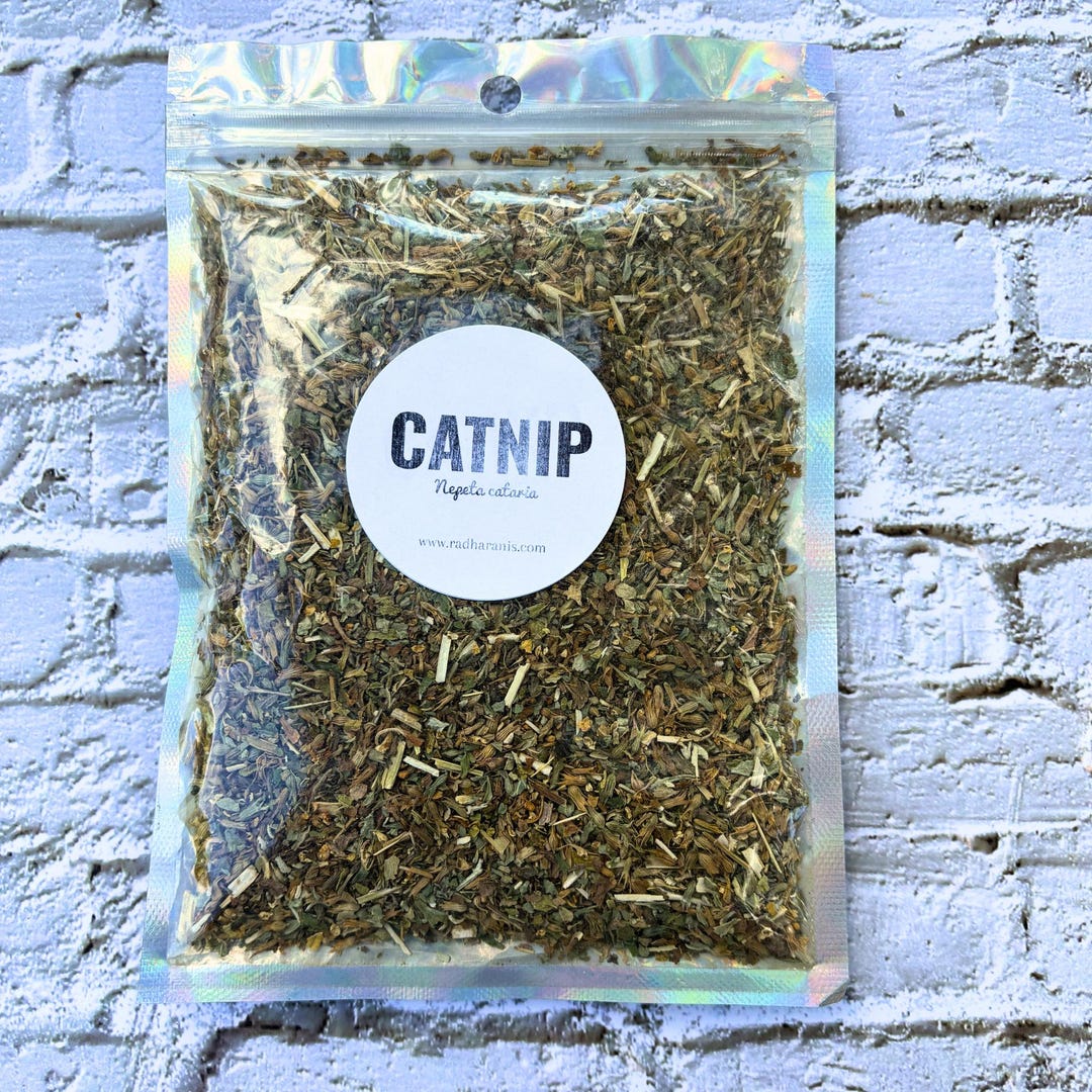 Catnip Herb – Dried, Cut & Sifted, Herbal Tea - Etsy