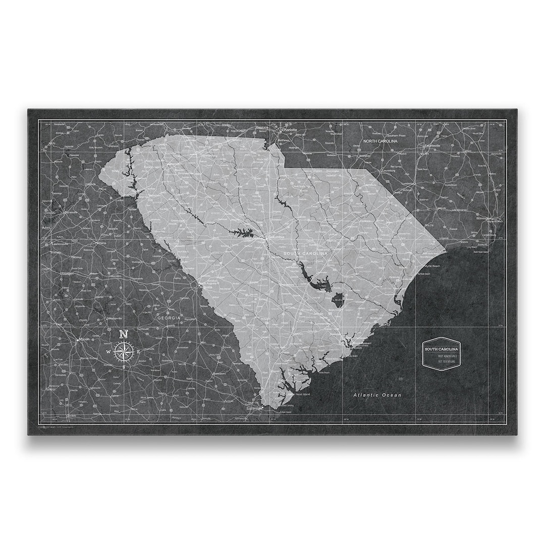South Carolina Travel Push Pin State Map Modern Cork Pin - Etsy