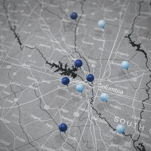 South Carolina Travel Push Pin State Map Modern Cork Pin - Etsy