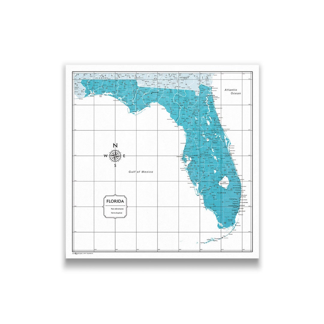 Push Pin Florida Map pin Board Teal Color Splash - Etsy