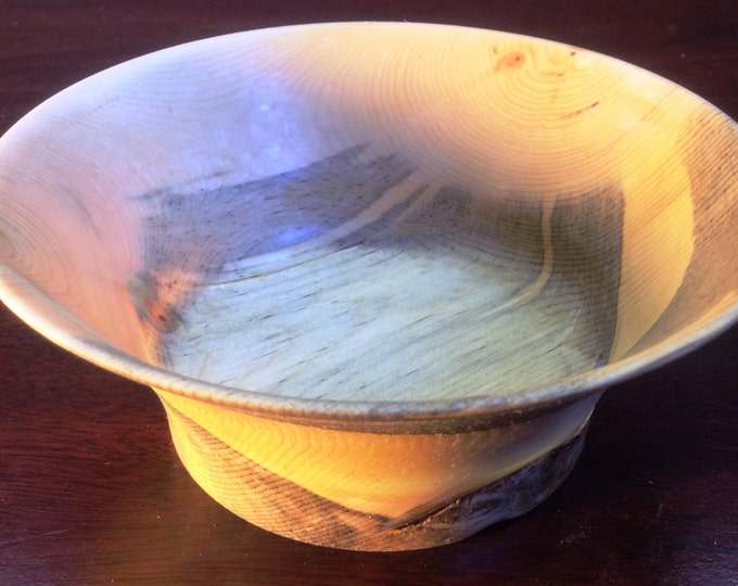 Colorado Beetle Kill Pine, Small Concave Shape - Etsy