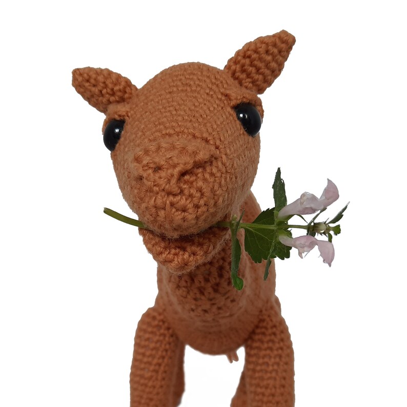 Crochet Pattern Camel Amigurumi Instant Download Pdf - Etsy