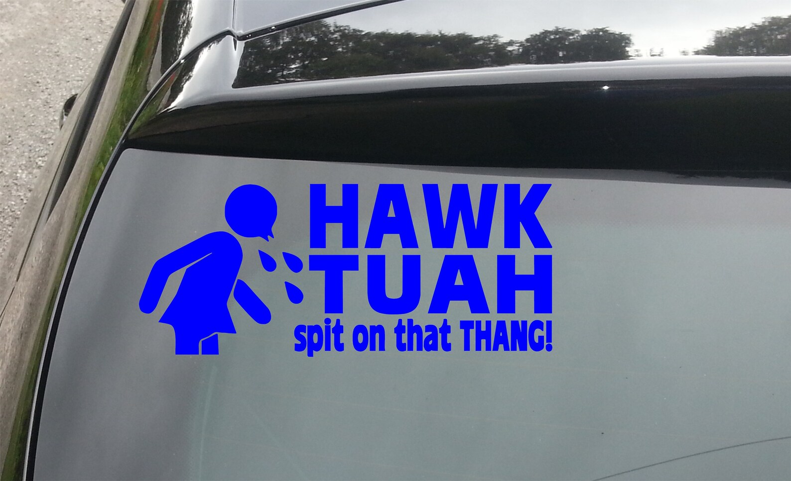 Hawk Tuah Svg, Tik Tok Svg, Hawk Tuah Meme Svg, Spit on That Thang Svg ...