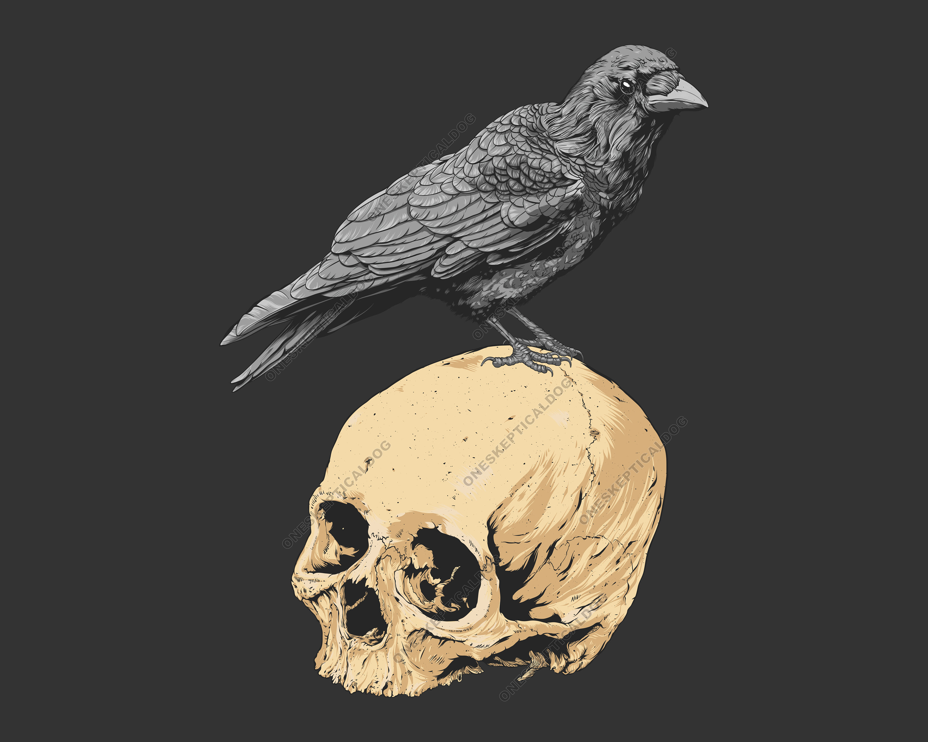 Crow Over Skull, Vector Illustration. Separated Elements as Option ...