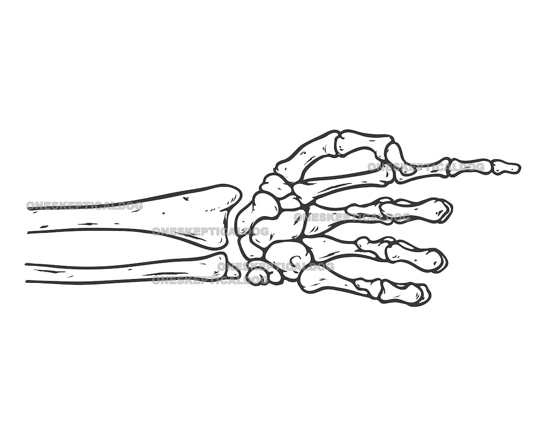 Pointing Hand Sign, Skeleton Hand, Vector Illustration, Clipart, EPS ...