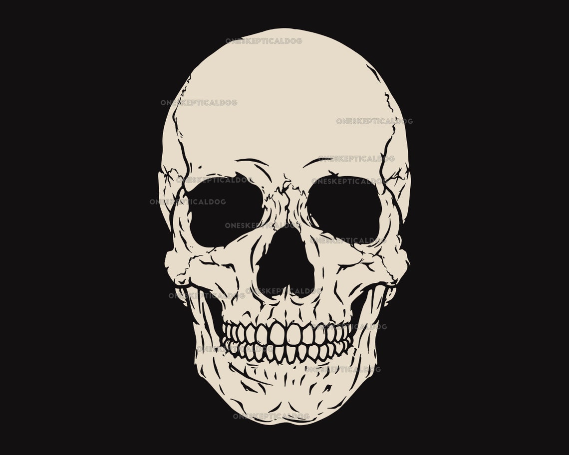 Skull, Skeleton Head, Vector Illustration, Clipart, EPS SVG PNG - Etsy