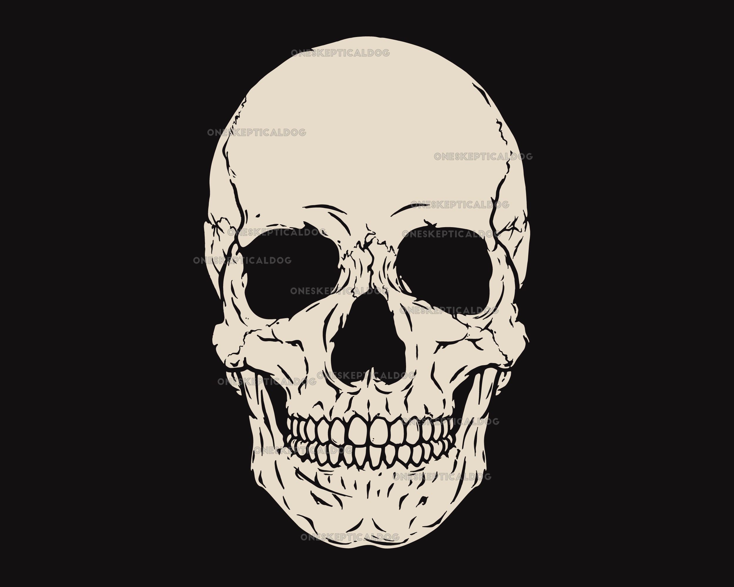 Skull, Skeleton Head, Vector Illustration, Clipart, EPS SVG PNG - Etsy