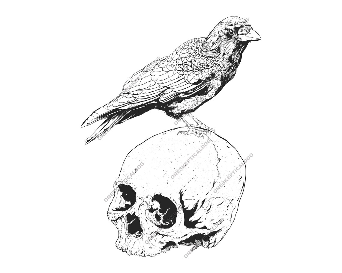 Crow Over Skull, Vector Illustration. Separated Elements as Option ...