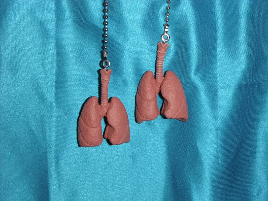 Set of Two Lungs Body Anatomical Decorative Ceiling Fan - Etsy