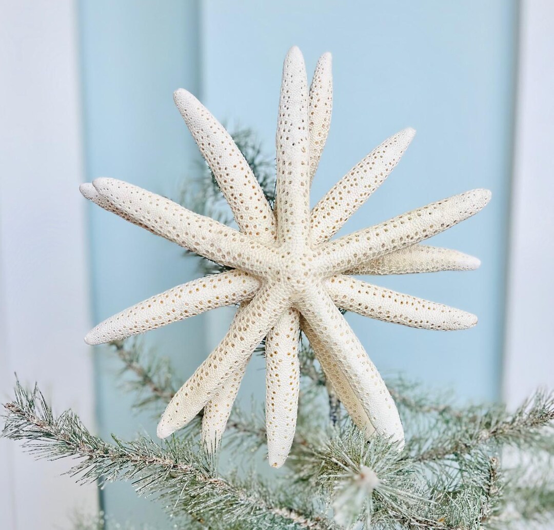 Starfish Christmas Tree Topper: Beachy Coastal Decor - Etsy Canada
