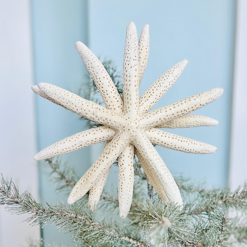 Starfish Tree Topper - Etsy