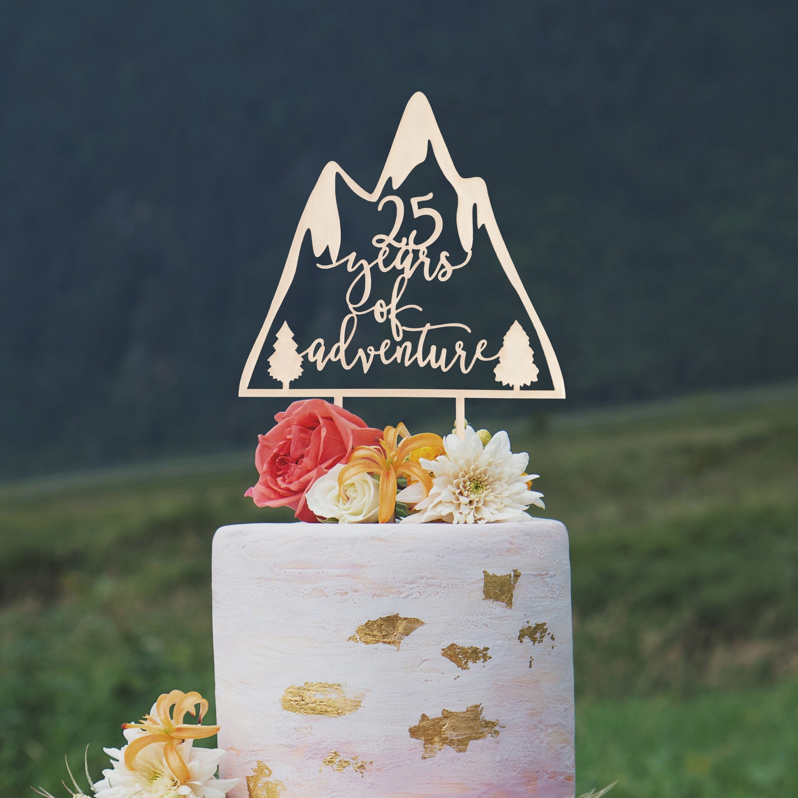 25th Anniversary Cake Topper 25 Years of Adventure Wedding | Etsy