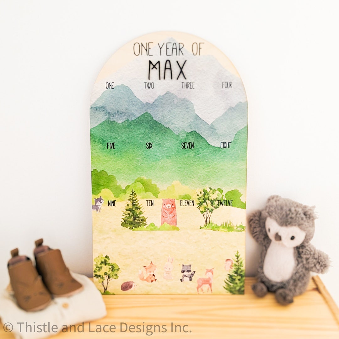 My First Year Photo Board, 1st Birthday Board, Milestone Sign, My 1st ...