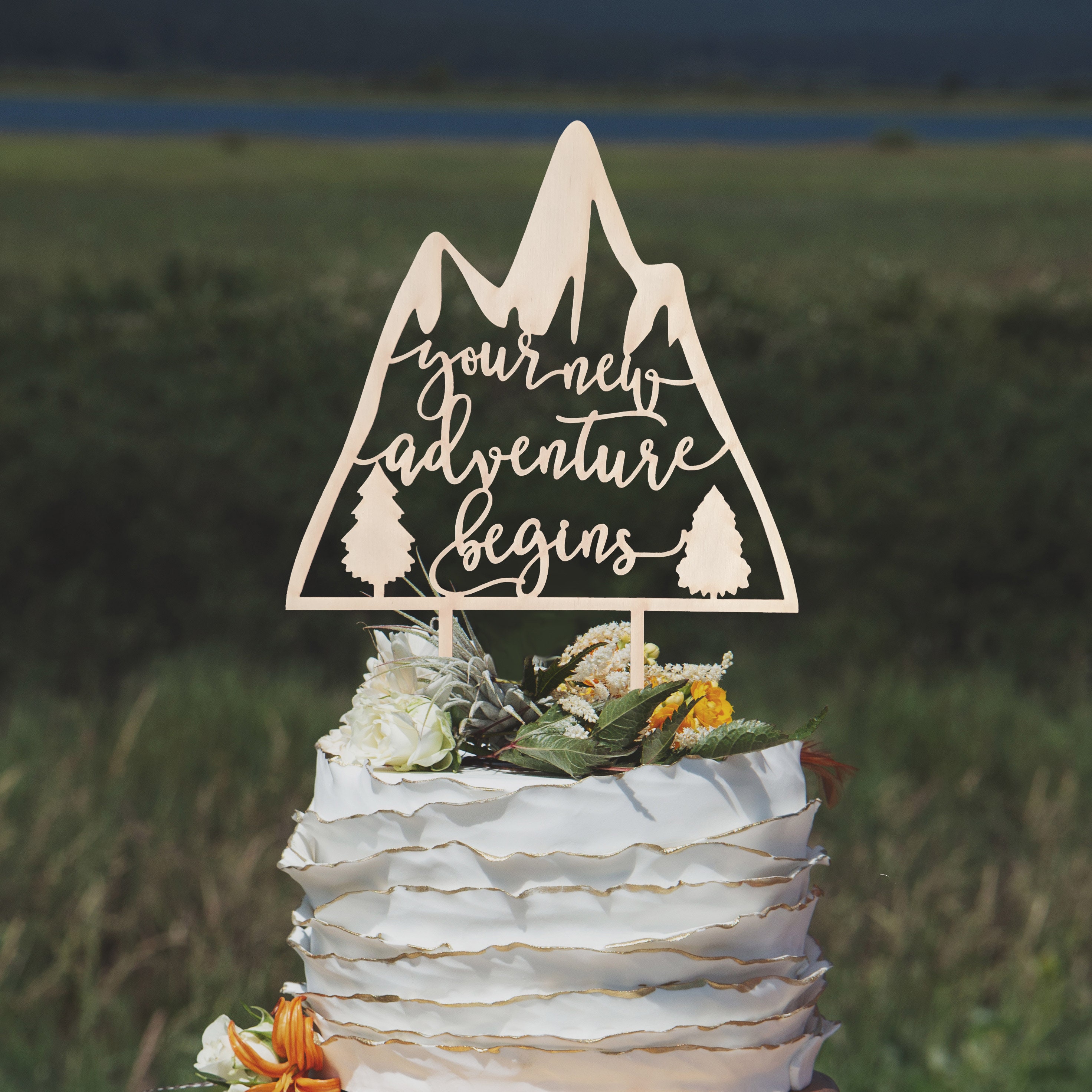 Party Supplies Engagement Cake Topper Let The Adventure Begin Cake ...