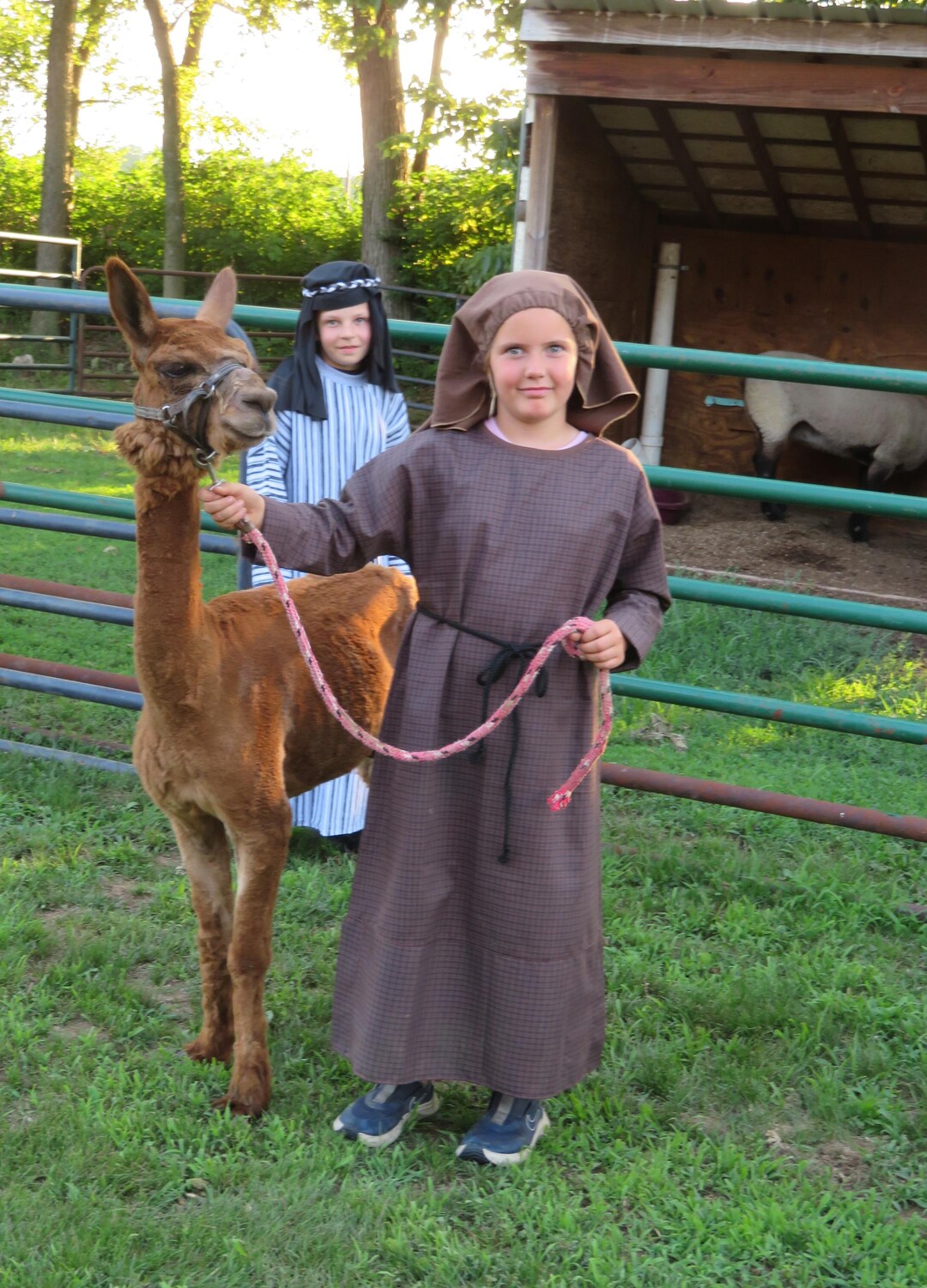 Apostle or Shepherd Costume With Head Covering - Etsy