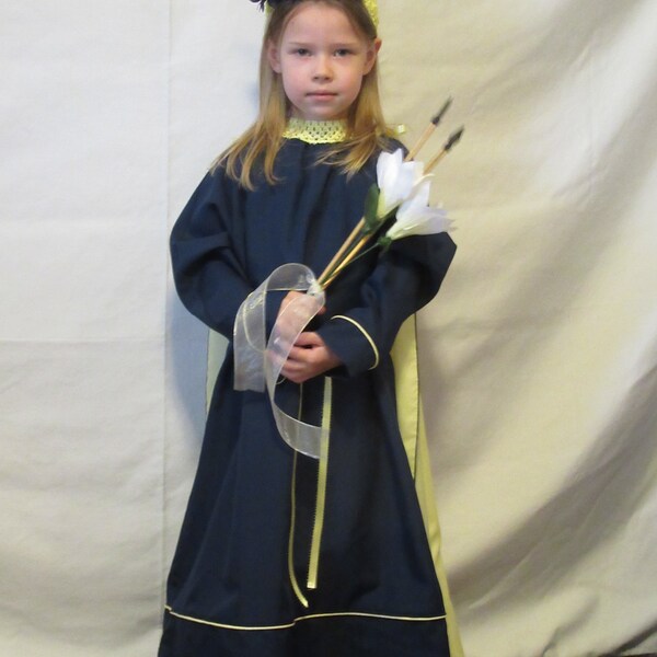 Warrior Princess Costume - Etsy