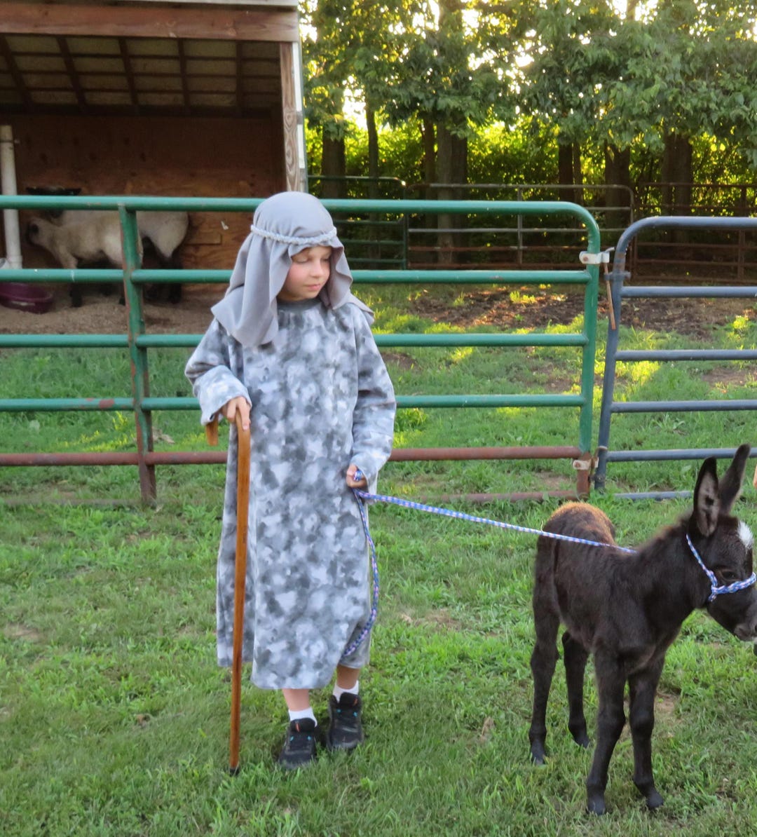 Apostle or Shepherd Costume With Head Covering - Etsy