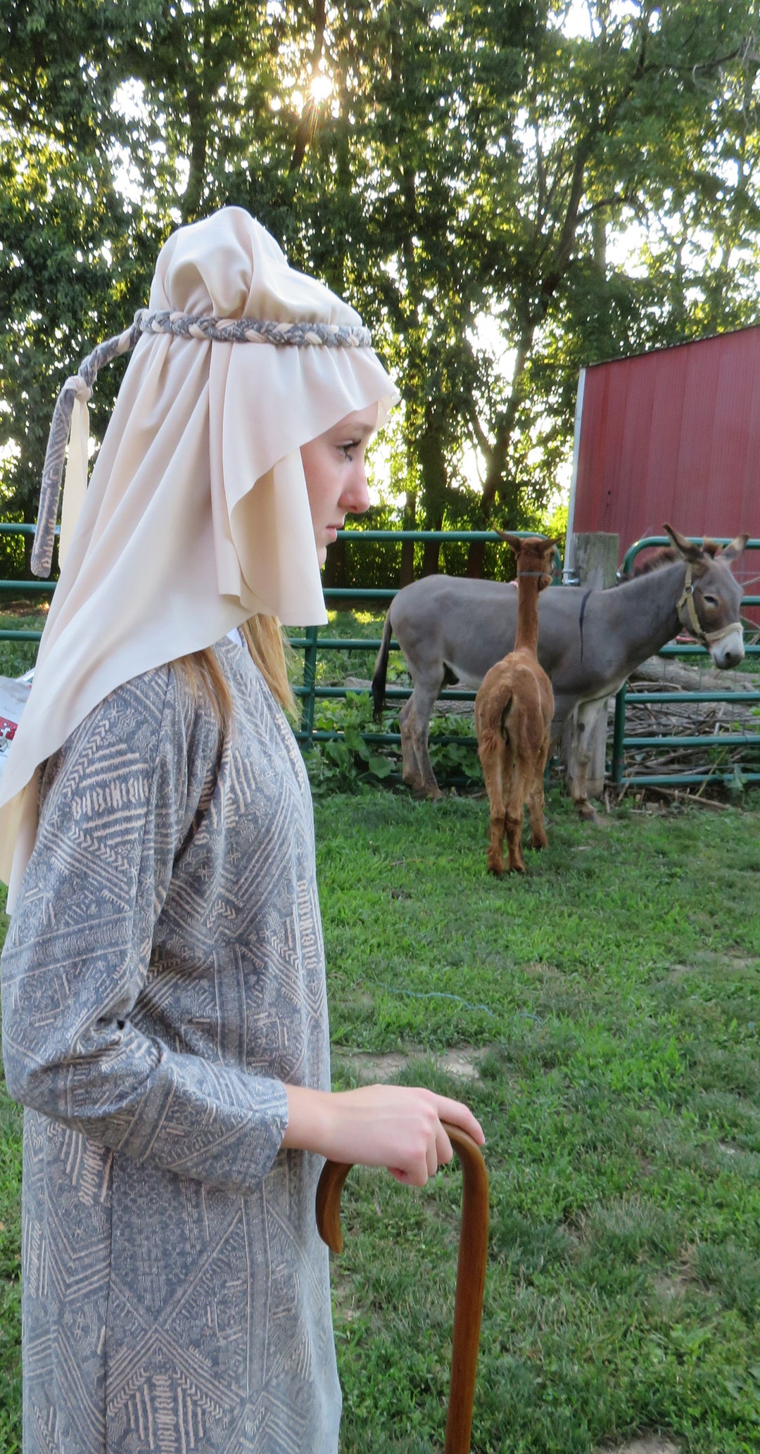 Shepherd Costume Includes Floor Length Tunic With Cord Cincture and ...