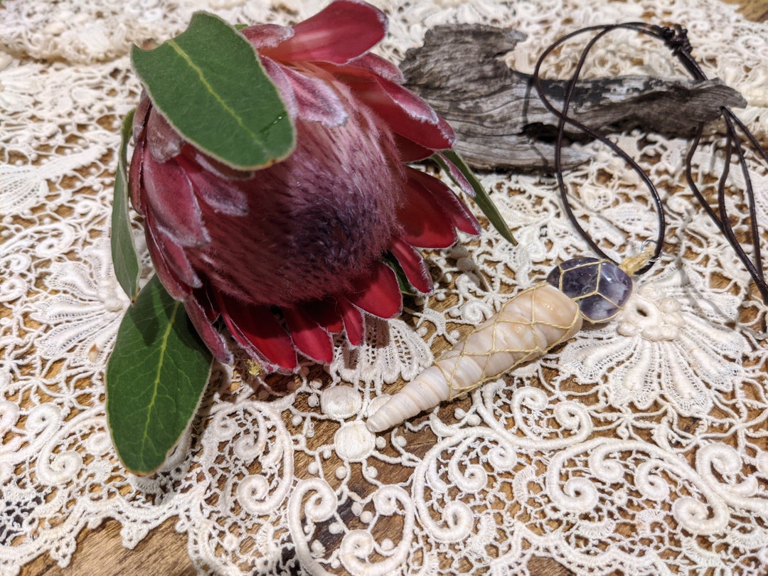 Gemstone Necklace Auger Shell and Amethyst - Etsy