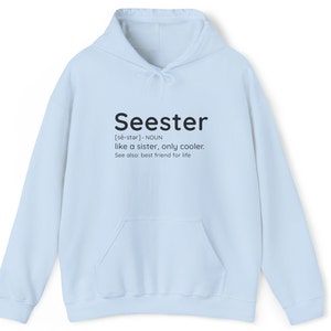Best Sister Gift, Seester Sweatshirt, Best Friend for Life, Seester ...