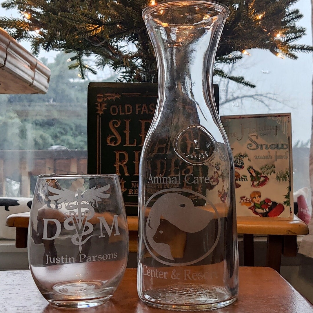Veterinarian Gift, DVM Stemless Wine Glasses, DVM Glass Set for Vet ...