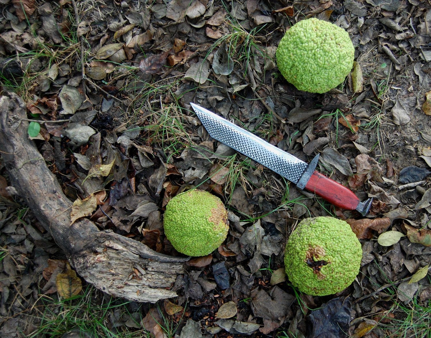 Seax From Farrier's Rasp - Etsy
