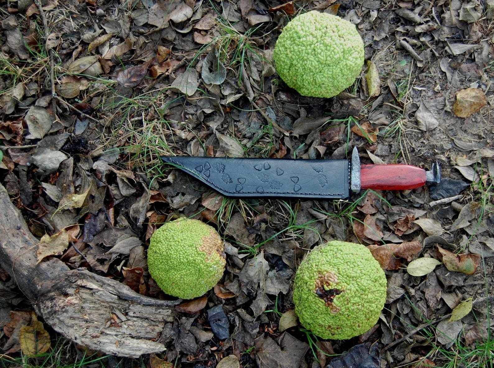 Seax From Farrier's Rasp - Etsy