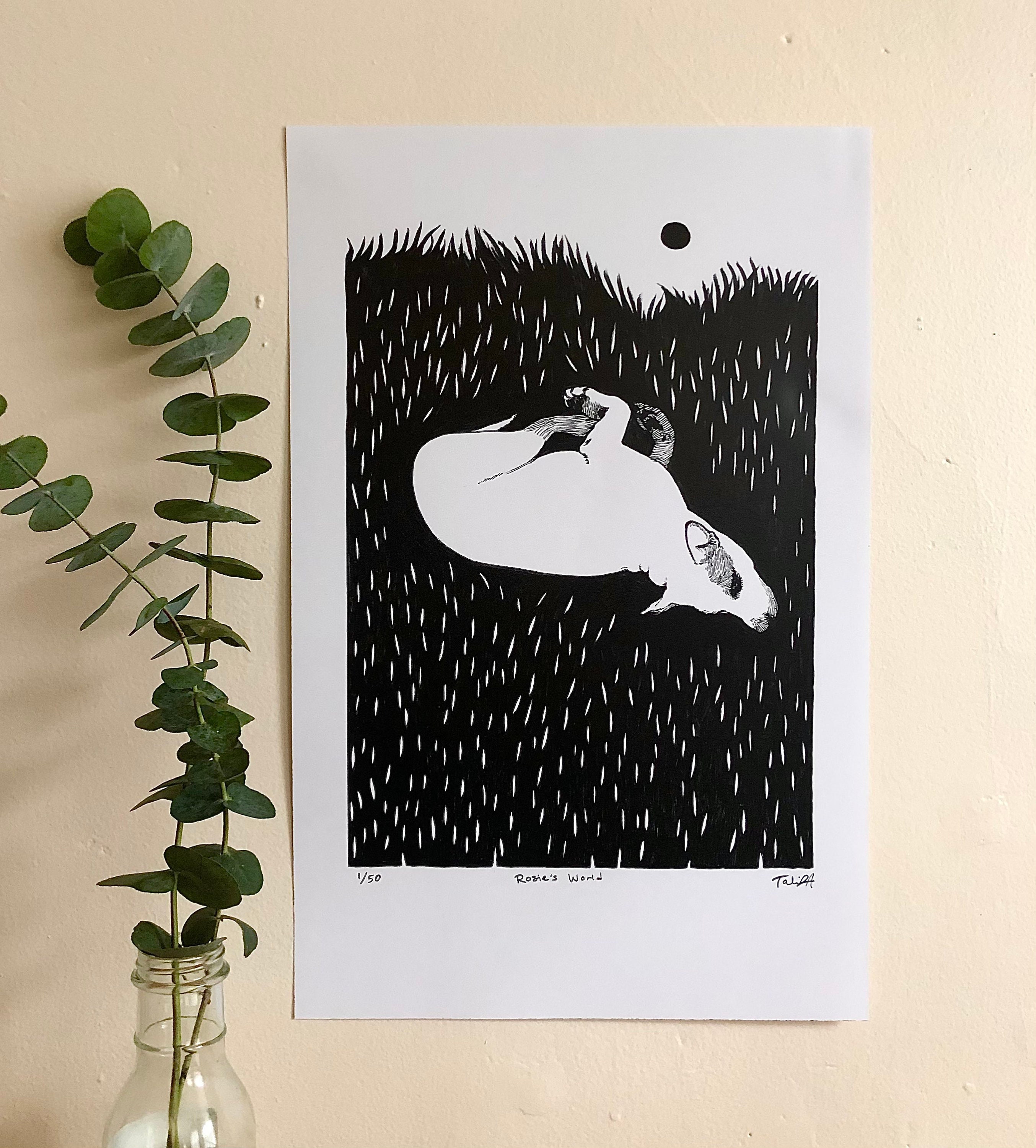 Tabitha Arnold / Shop — Tabitha Arnold