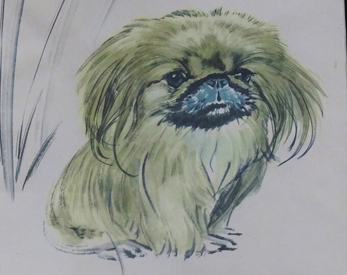 David Kwok (GUO DAWEI) Pekinese Print, Chinese Art, Dog Art, Dog Print, Sad Pekinese - Etsy