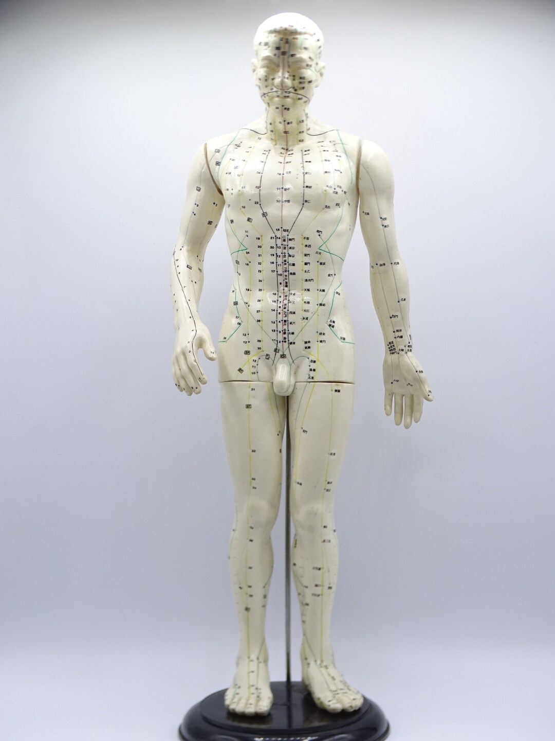 Vintage Acupuncture Model, Acupuncture Doll, Acupuncture Meridian Lines ...