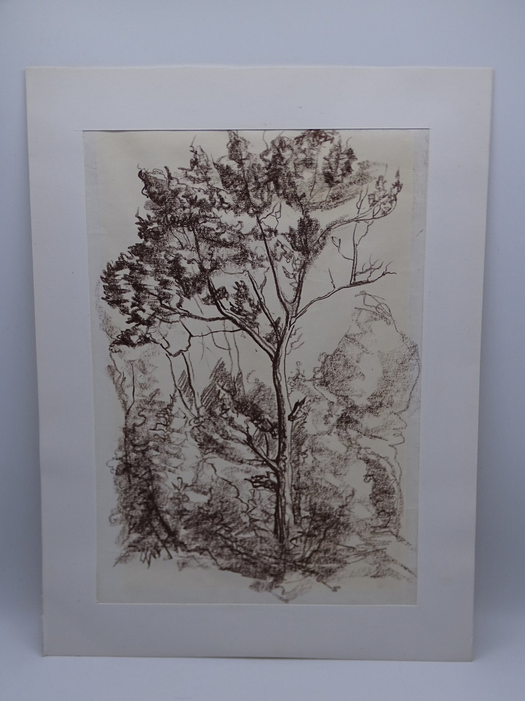 Eve Van Gennip-pourquié (1919-2003) Drawing of a Tree - Etsy