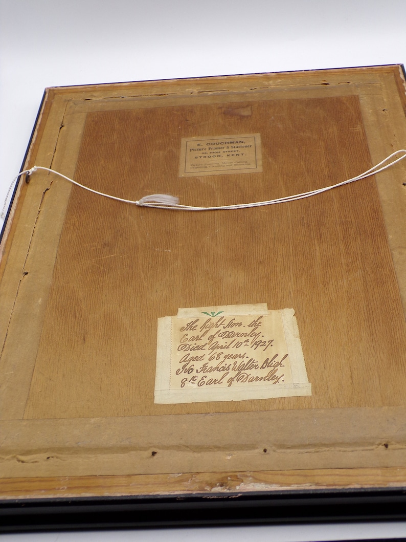 8th Earl of Darnley Ivo Francis Walter Bligh 1859-1927 - Etsy