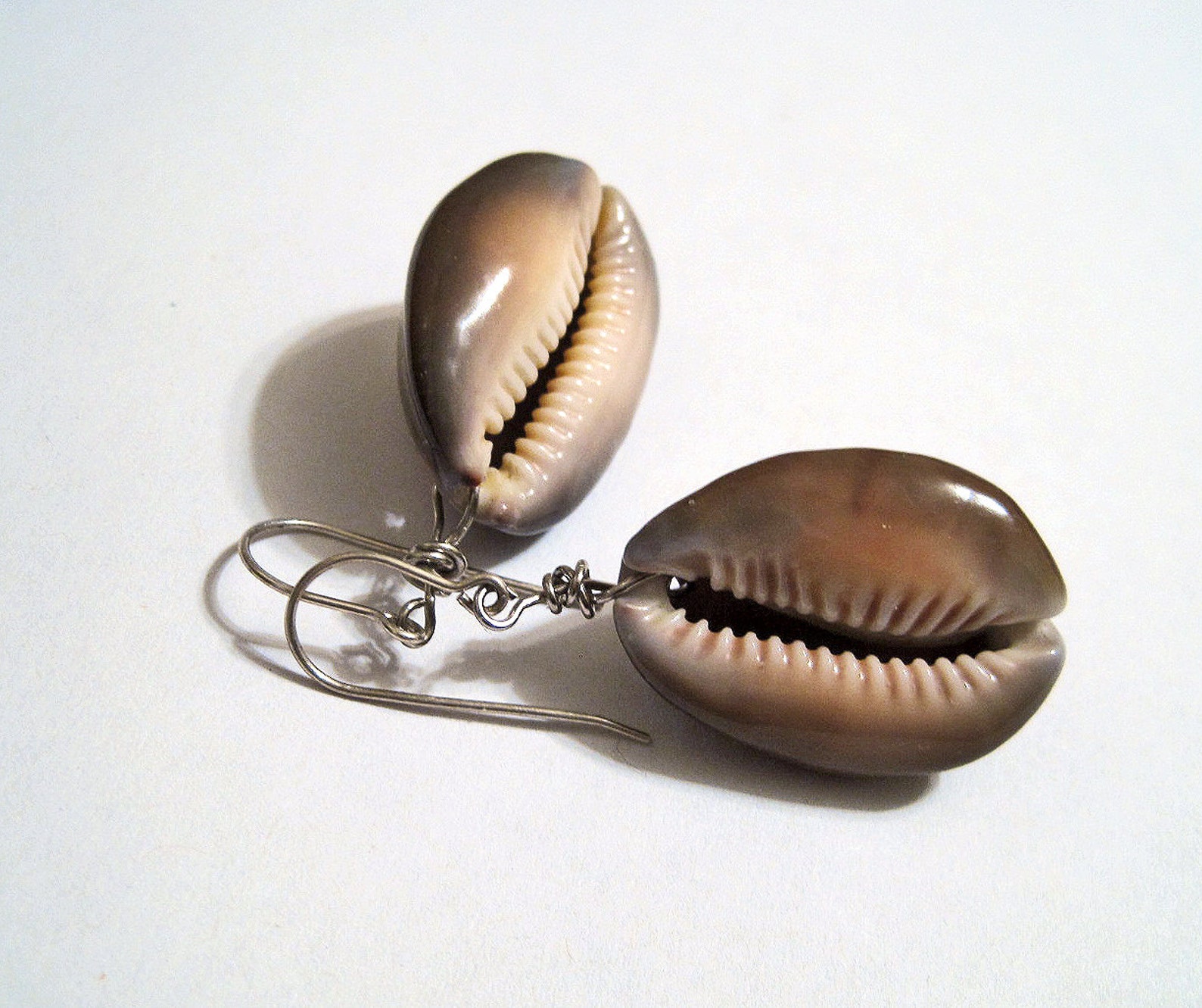 Snakehead Spotted Cowrie Shell Earrings With Sterling Silver or Brass ...