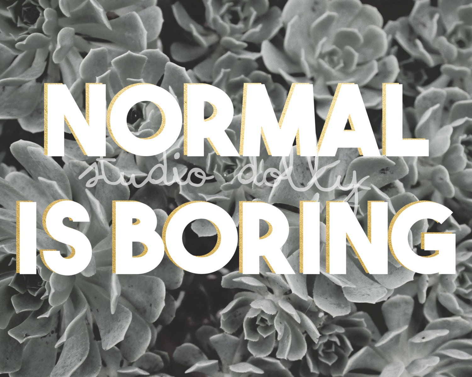 Normal is Boring Printable Instant Download Succulent - Etsy