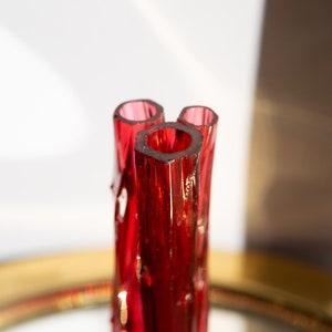 Glass Heart Vase Anatomical Heart Valves Red Glass Flower Bud Vase ...