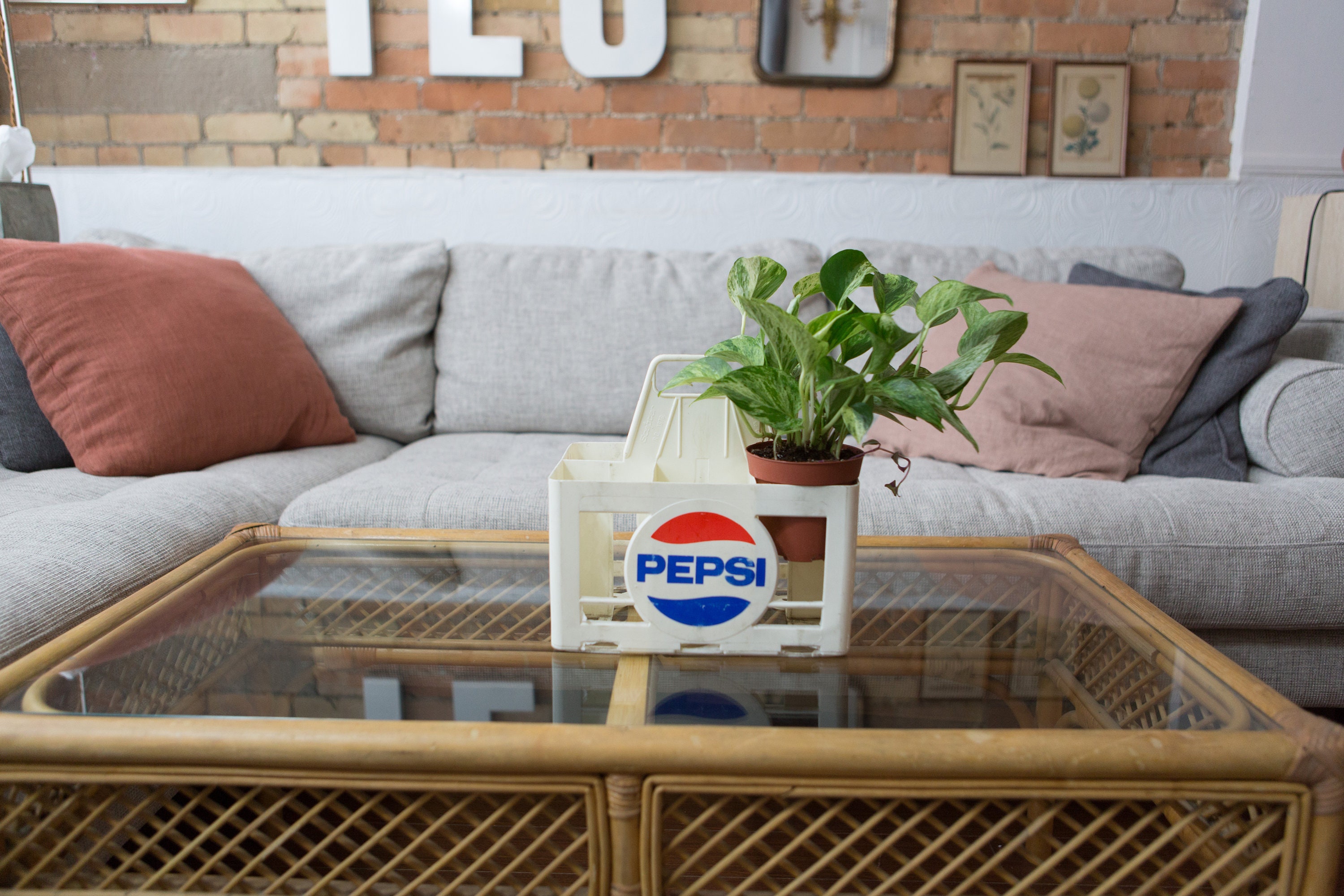 Vintage Pepsi Case - Pepsi-ColaPlastic Pop Bottle Carrying Box with Red ...